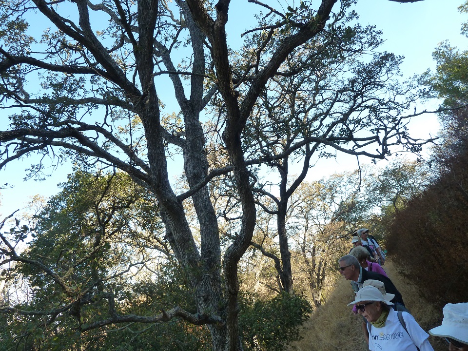 Bay Area Older Adults - Expand Your World