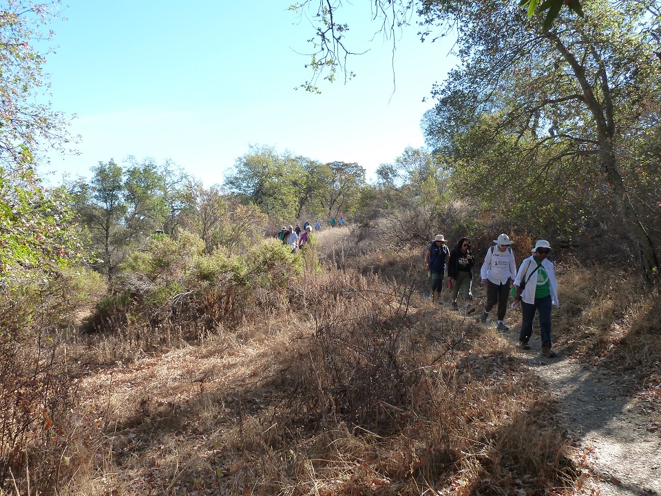Bay Area Older Adults - Expand Your World