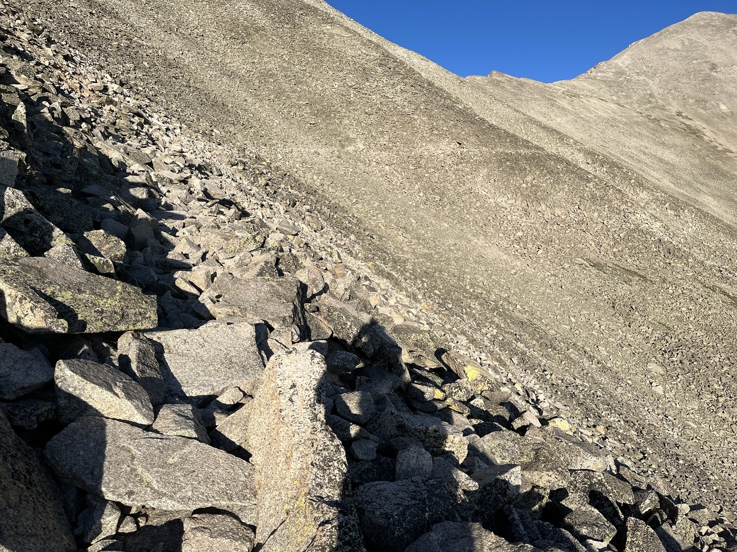 Bay Area Older Adults - Expand Your World